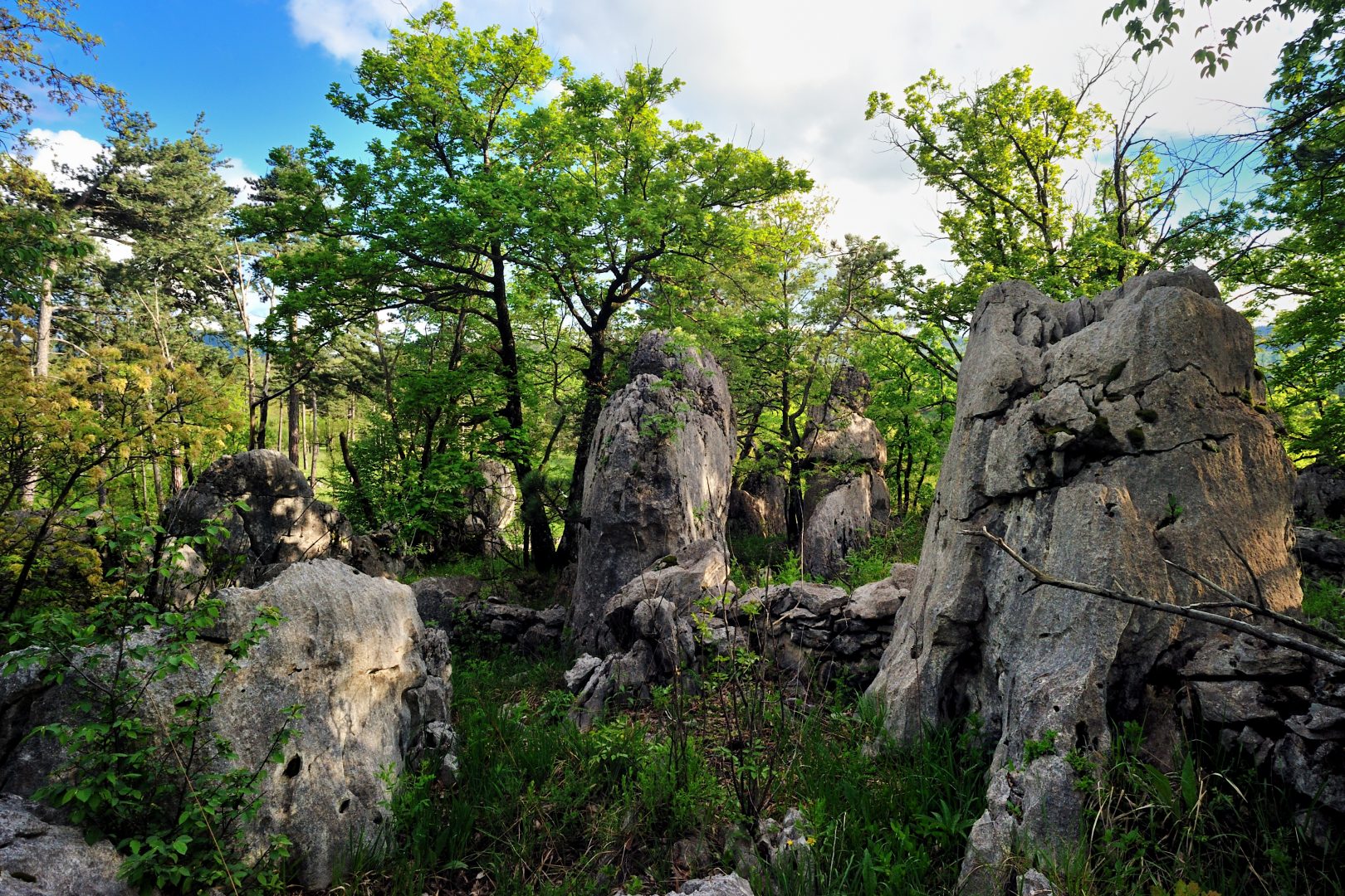 HIKING IN SLOVENIA - FROM KARST TO THE ADRIATIC COAST | Cycling in Slovenia